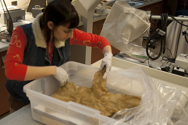 Conservation History | Peabody Museum of Archaeology & Ethnology