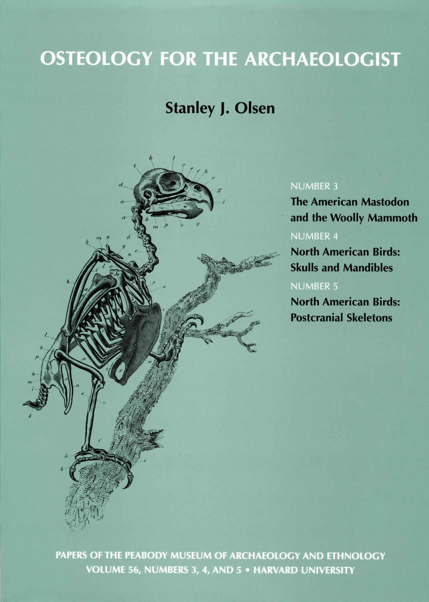 Osteology for the Archaeologist | Peabody Museum of Archaeology & Ethnology