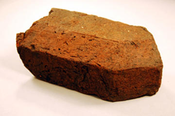 Digging Veritas | Peabody Museum of Archaeology & Ethnology