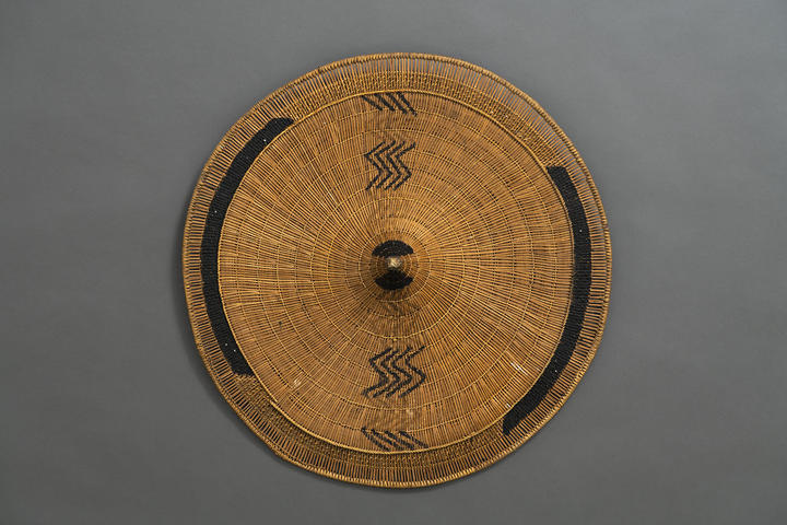 Reframing Agassiz and Hartt's Collecting in Brazil | Peabody Museum of ...